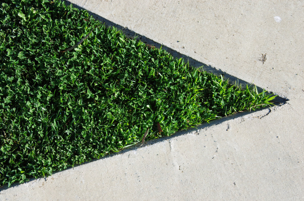 Building a Greener Future with Green Cement - Paulson Institute